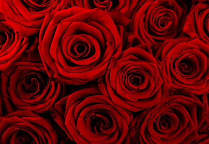 The Flower Lady Florist Hayes Order Online or 020 8842 2705